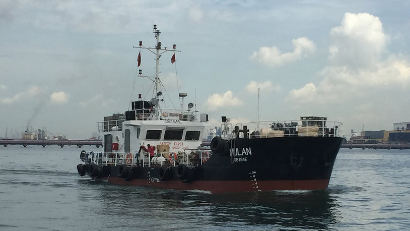 Projects – Sea Forrest